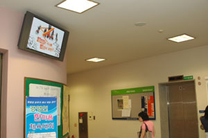 우리는 PDP로 무엇을 보는가